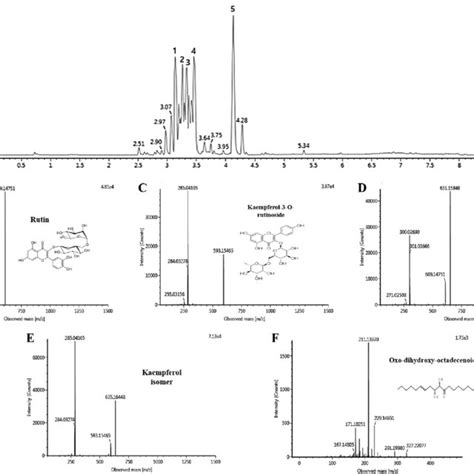 Ms Chromatography In The Negative Ion Mode Of The Efal Using The Download Scientific Diagram