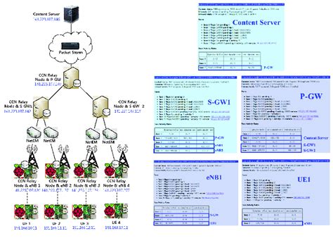 Network Topology For The Real Cellular Wireless Network Testbed