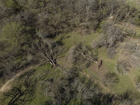 Grassland Aerial View Images Free Photos Png Stickers Wallpapers