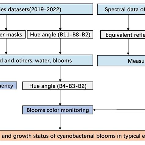 The Analysis Flowchart Comprises An Input Dataset Remote Sensing Data Download Scientific