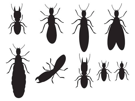 Termite Monitoring System Green Solutions Lpcgreen Solutions Lpc