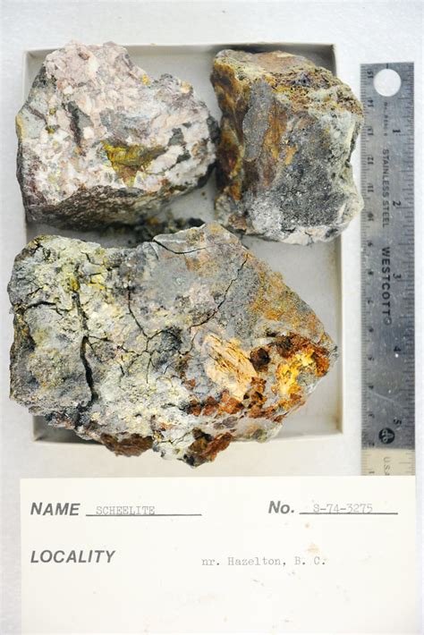 Scheelite Near Hazelton British Columbia Canada Pacific Museum Of