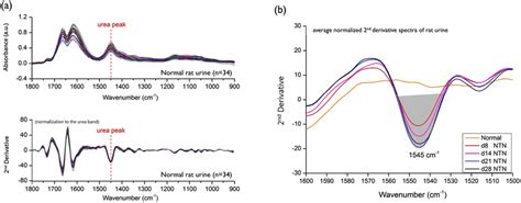 Fourier Transform Infrared Ftir Analysis Of Rat Urine Urine Spectral