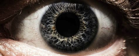 If You Keep Your Eyes Open When You Sneeze Would They Pop Out