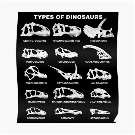 Dinosaur Fossils Poster For Sale By Nicgraygraphic Redbubble