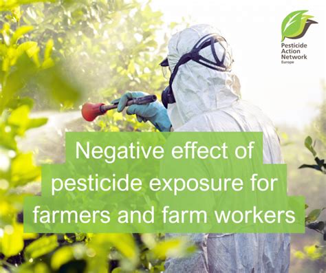 Negative Effect Of Pesticide Exposure For Farmers And Farm Workers