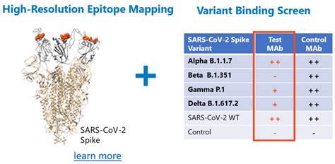Expedited Sars Cov 2 Epitope Mapping Supporting Regulatory Submission