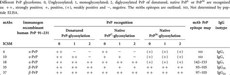 A Summary Of The Mabs Characterization Download Table