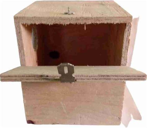 Zebra Finch Nest Box Plans