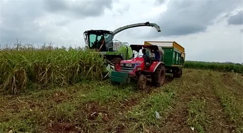 Tejas Kale On Linkedin Design Development Manufacturing Silage