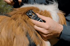 Ridgeline™ Collar Ruffwear