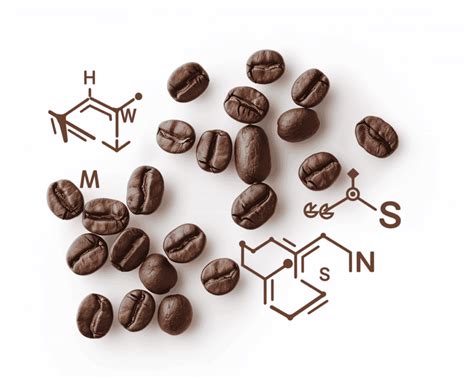 Why Is Caffeine Used For Hplc Calibration