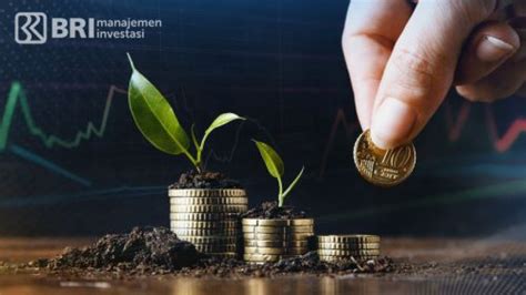 Melirik Peluang Investasi Reksadana Bri Mi Di Tengah Sentimen Global