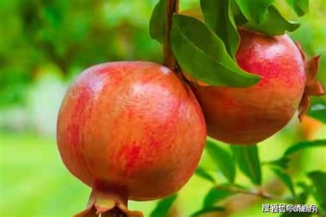 老实人要学会拒绝小人恶意的刁难，防小人之心不可无团体时候道德