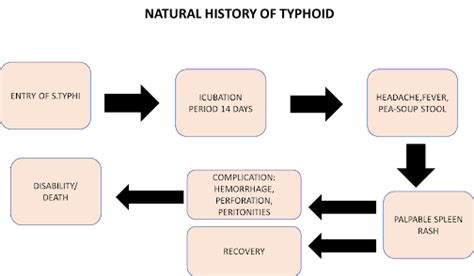Natural History Of Disease Epidemiology Guru