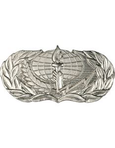 Air Force Services Badge Enlisted Mirrored Finish Used Military