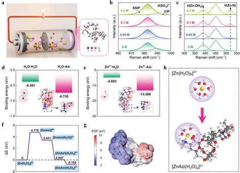 Regulation Of The Solvation Structure By Zn Ionophore Azi A Schematic
