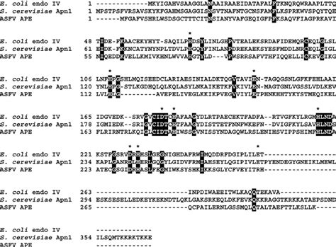Sequence Alignment Of E Coli Endonuclease Iv With Two Of Its Download Scientific Diagram