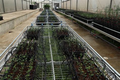 华中农大实验站 格林凯尔华中农大精准农业研究院