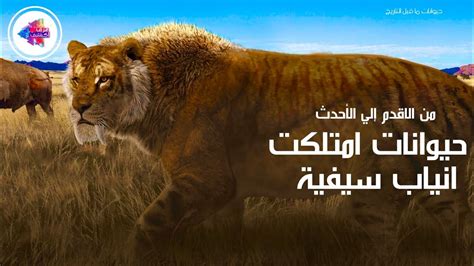 اسنان سيفية ل8 حيوانات ما قبل التاريخ المنقرضة Youtube