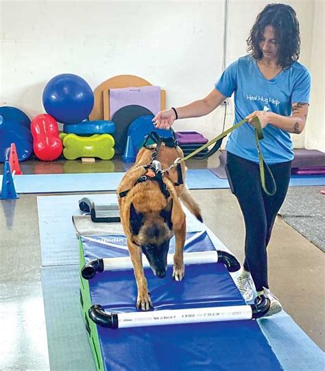 Veterinary Practice News On Linkedin Veterinarybusiness Vetmed