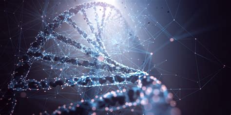 Plasmid Dna Biomay Ag