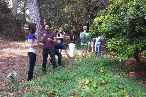 Ethical Considerations For Foraging Wild Plants — Book Wild Food