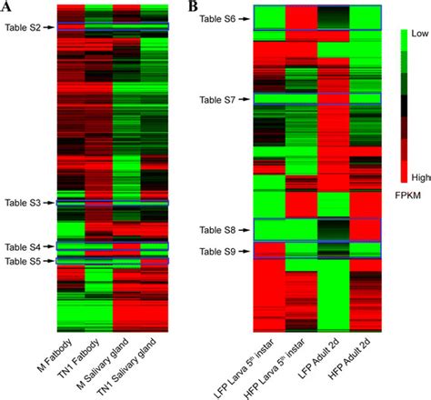 The Heatmap Of The Lncrna Expression Patterns In Virulent And Fecund Download Scientific