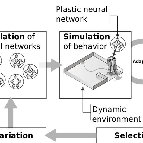 Pdf Artificial Evolution Of Plastic Neural Networks A Few Key Concepts
