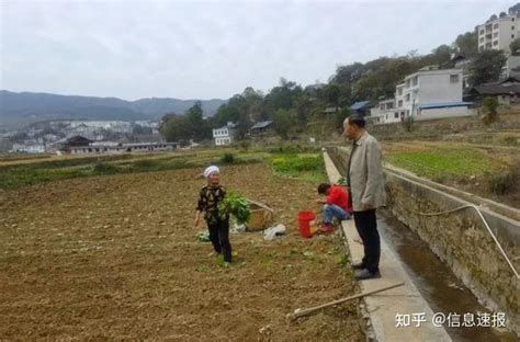 张家寨镇田间地头忙 播下新希望 知乎