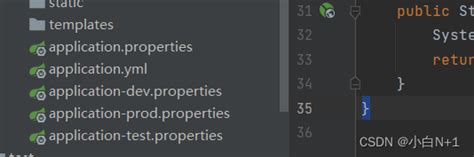 Springboot Springboot Csdn