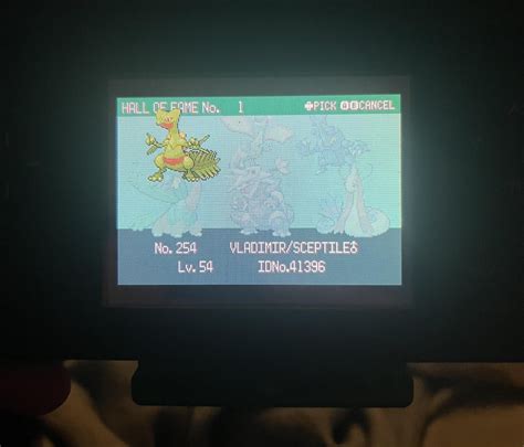 Finally Beat The Game R Pokemonemerald