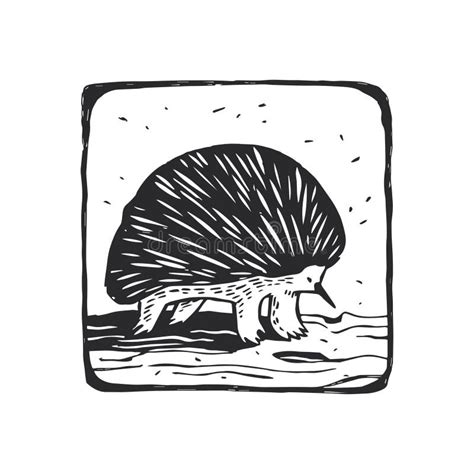 Echidna Hand Stock Illustrations 207 Echidna Hand Stock Illustrations