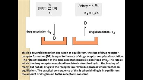 Lecture 2 Selectivity Youtube