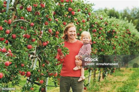 과일 과수원에서 사과를 수확하는 귀여운 유아 소녀와 잘 생긴 젊은 아버지의 야외 초상화 행복한 육아 12 17 개월에 대한 스톡 사진 및 기타 이미지 Istock