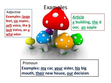 Noun Modifiers
