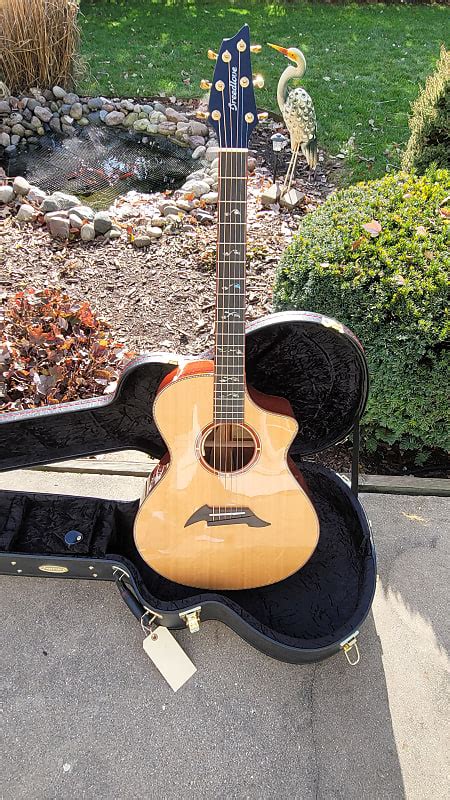 Breedlove Masterclass Series Concert Model Cocobolo 2018 Reverb