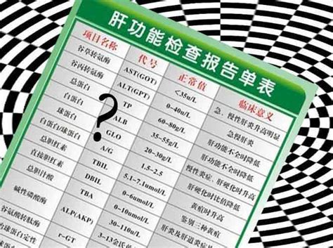 带你读懂肝功能化验单