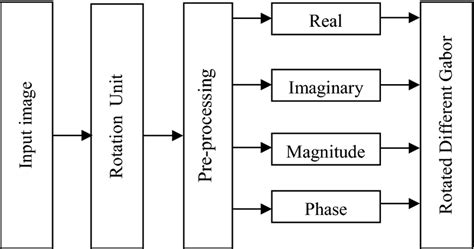 generation of different rotated gabor patterns download scientific