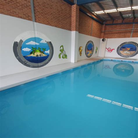 Our Swimming Pools Wollongong Classic Pools