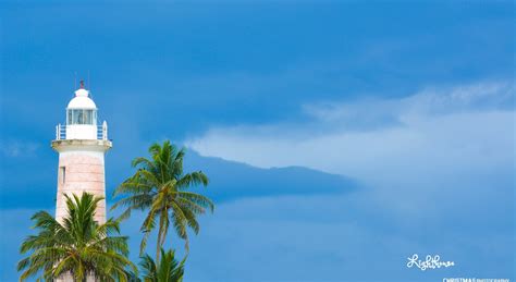 Travel Destinations Blue Building Building Exterior Palm Tree
