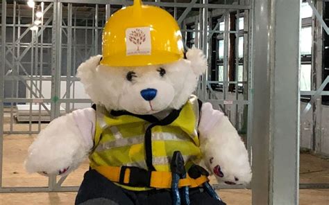 Meet Cheddy The Teddy West Coker Primary School