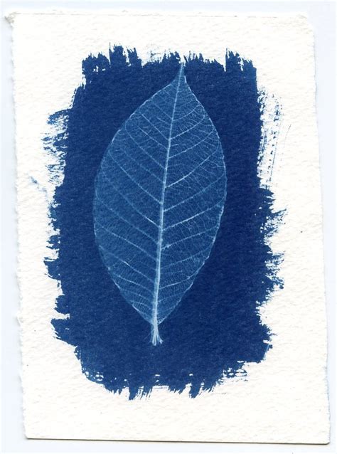Original Cyanotype Leaf Cyanotypes Sun Print Blue Leaf Blue Home