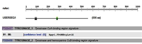 Analysis Of Tyrosinase By Scanprosite Copper A Binding Domain And