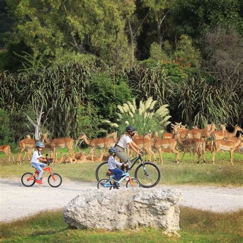 Wild Biker Africam Safari