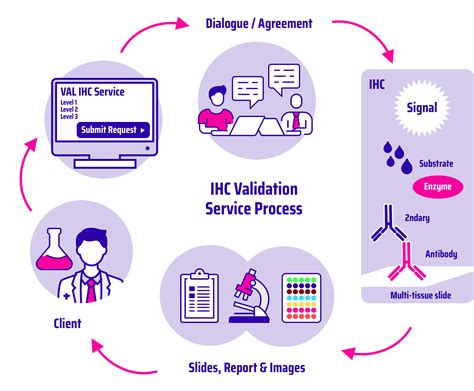 Antibody Validation Epitogenx Antibody Validation Epitogenx