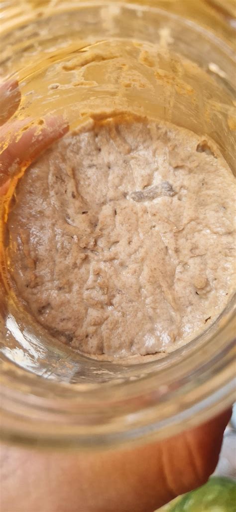 Did My Sourdough Go Bad R Sourdough