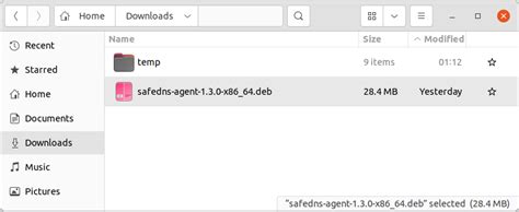 SafeDNS Agent For Linux Setup Guide SafeDNS Agent For Linux Setup Guide