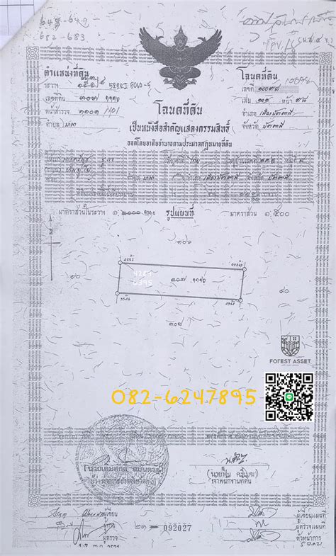 Forest Asset Forest Asset Added A New Photo