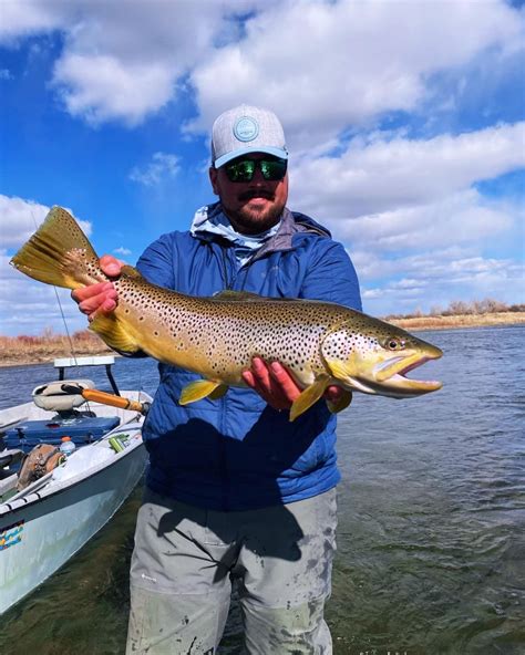 Spring Fishing Report Pinedale And Fontenelle Wyoming Fishing Company